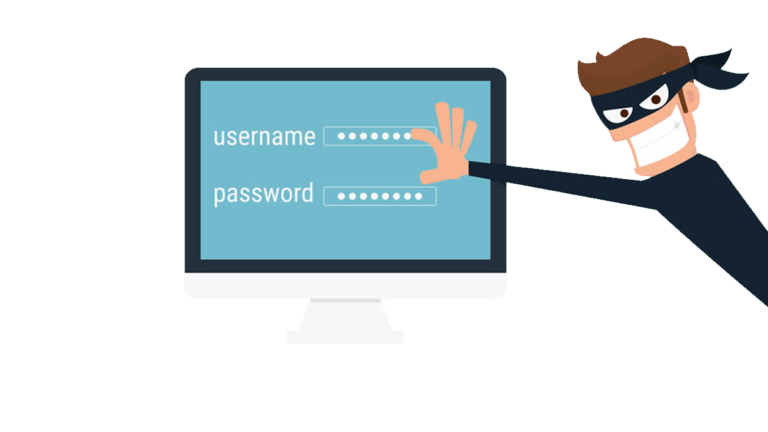 WHAT ARE THE 4 MAIN TYPES OF VULNERABILITY?