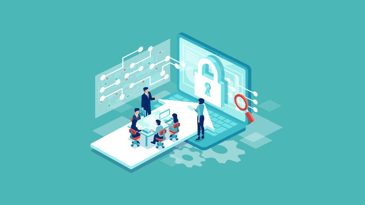 WHAT ARE THE 4 MAIN TYPES OF VULNERABILITY?